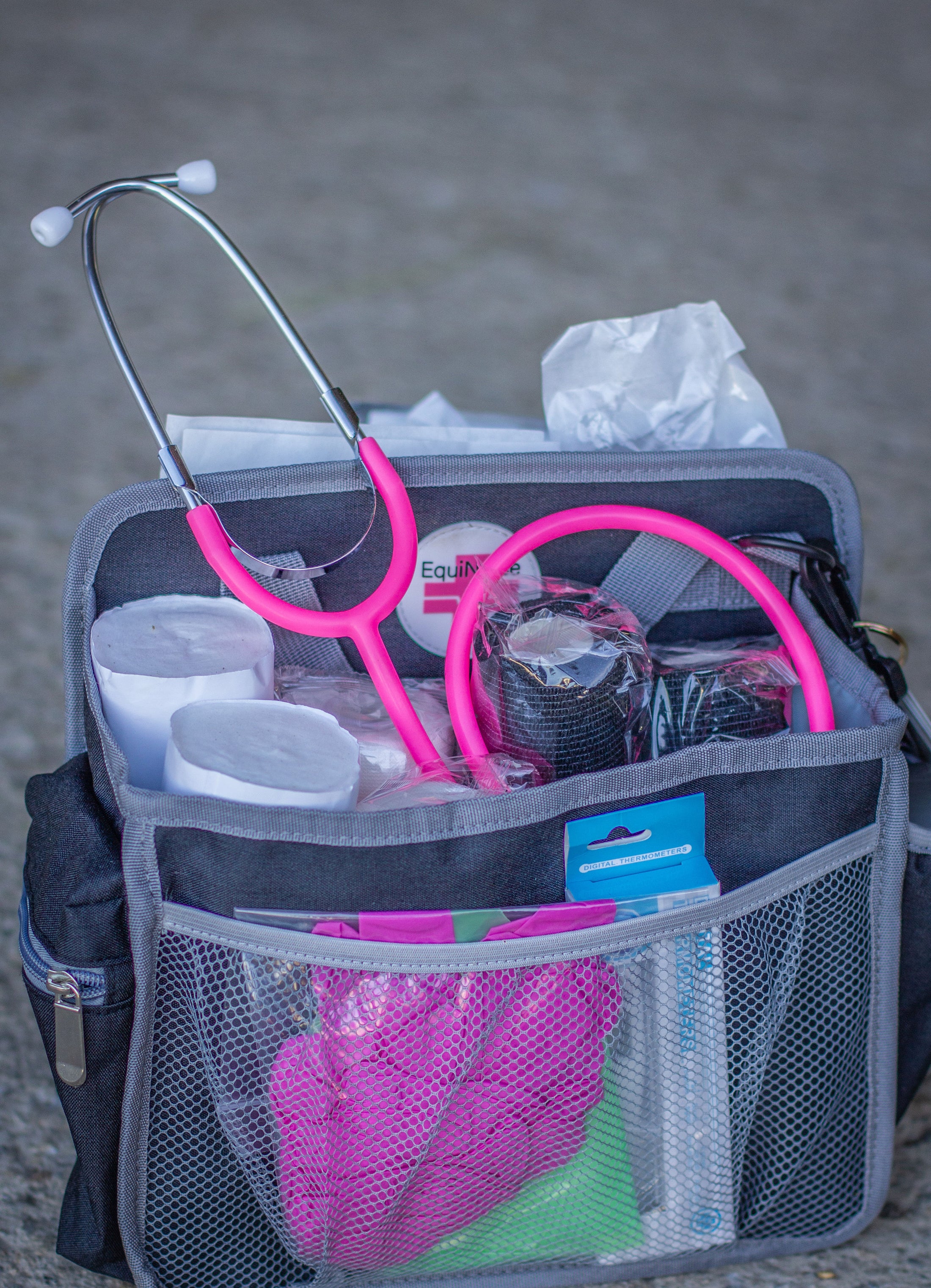 Equine first aid kit – EquiNurse